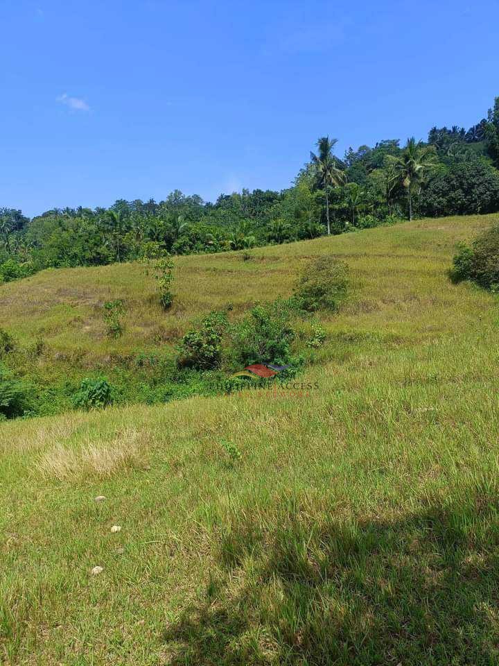 Jonathan Panonce | Residential Lot | Philippine Access Sales Network